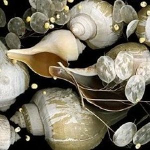 Scanography: What is Photo Scanning and how to do it | ARTMO | ARTMO